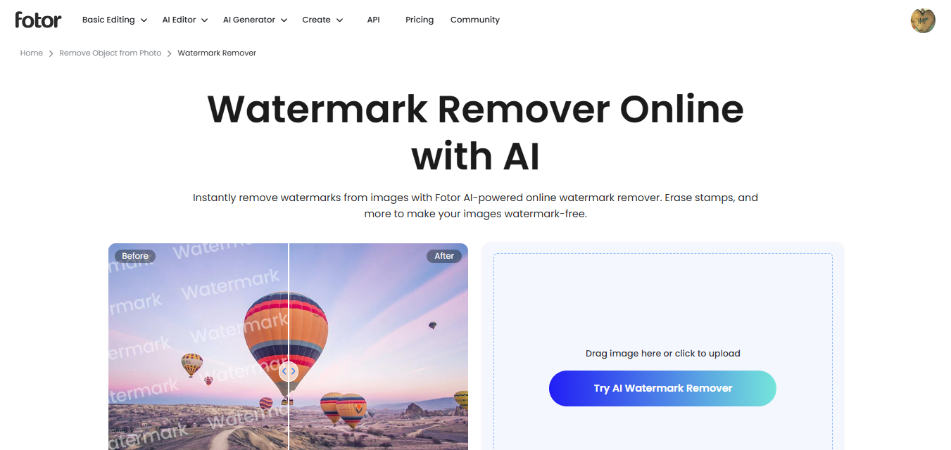 Fotor Image Watermark Remover Review: Features, Price & Alternative | Wink